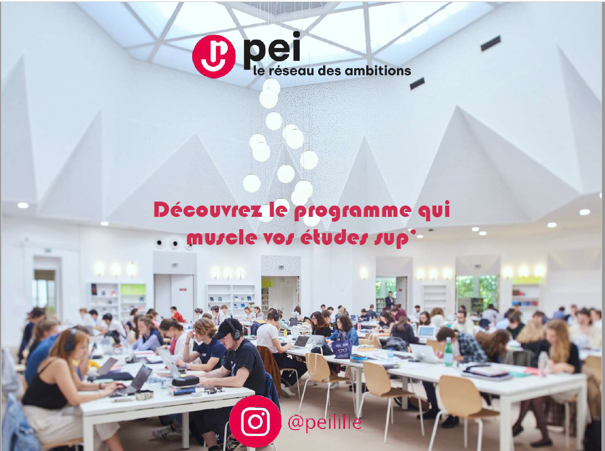 PEI - Cité Scolaire ROLLINAT